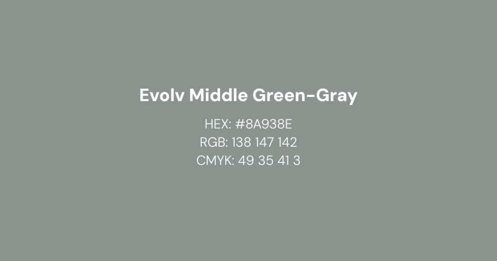 Brand Guidelines | Evolv Technology